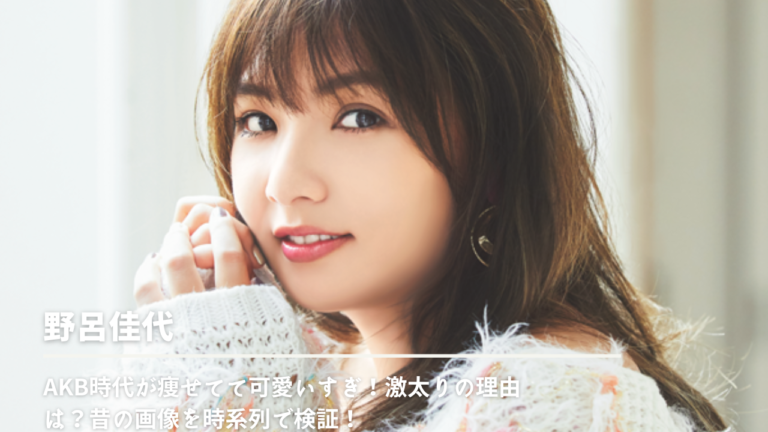 野呂佳代のAKB時代が痩せてて可愛いすぎ！激太りの理由は？昔の画像を時系列で検証！ | NN-media